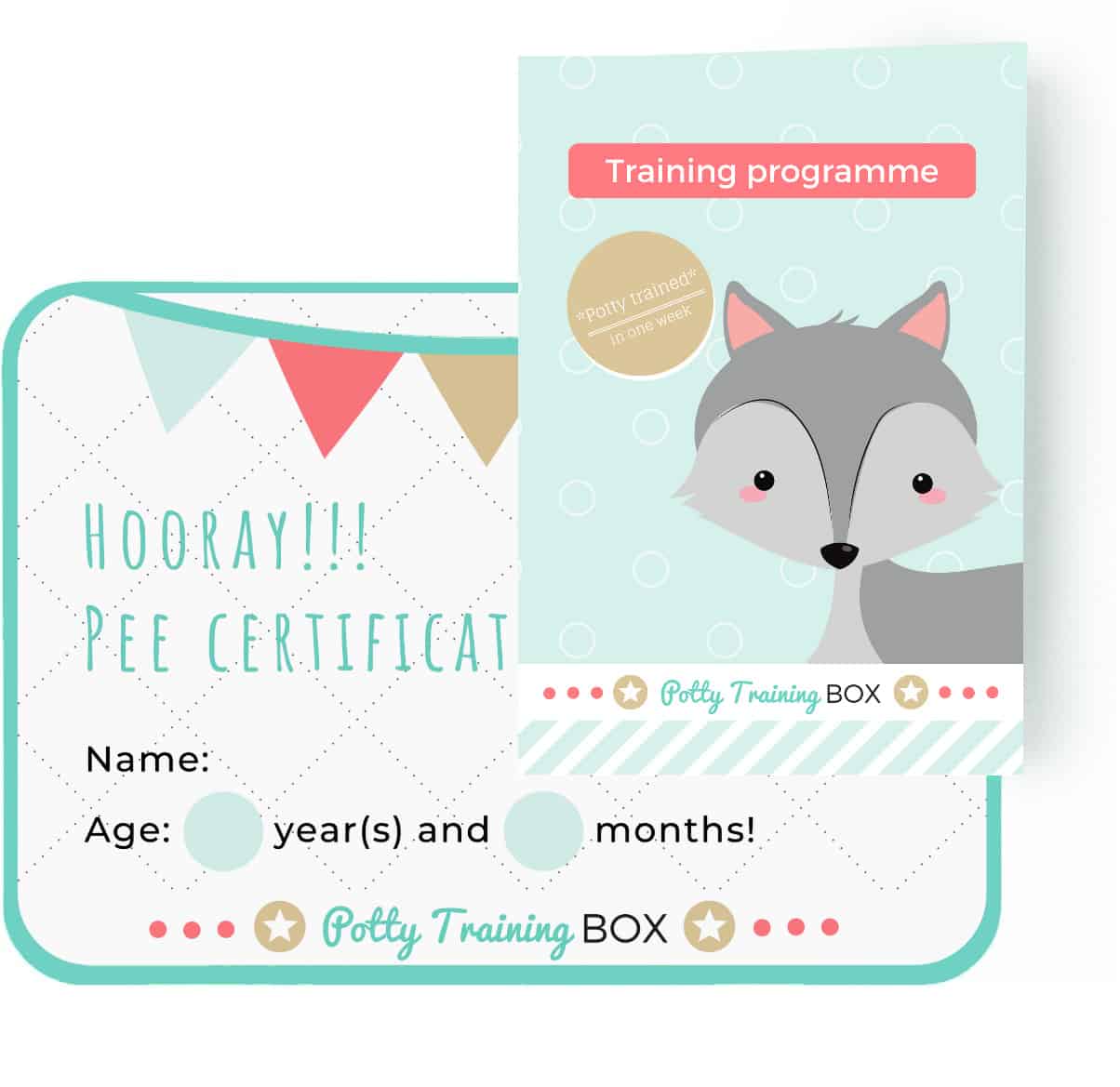 Potty Training Box (British version) - Potty Training for toddlers